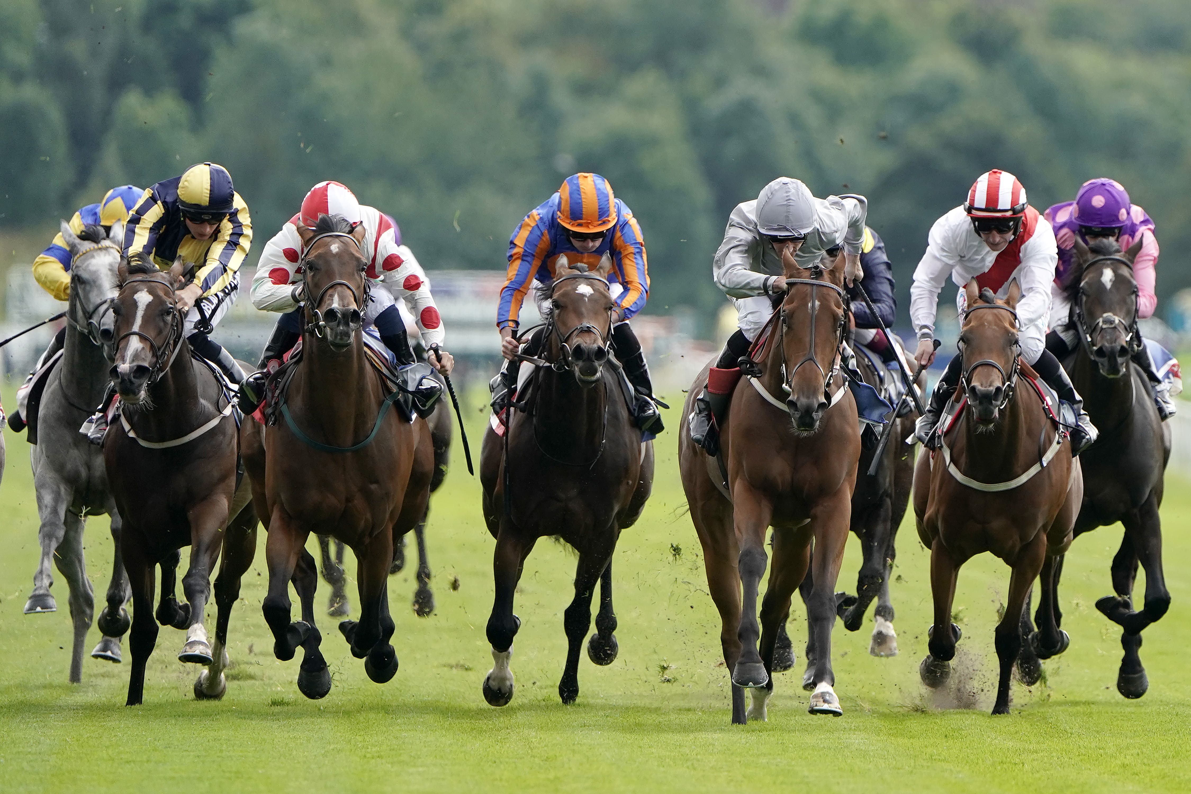 York Ebor Festival Day 1 Wednesday Tips and Previews | GetYourTipsOut