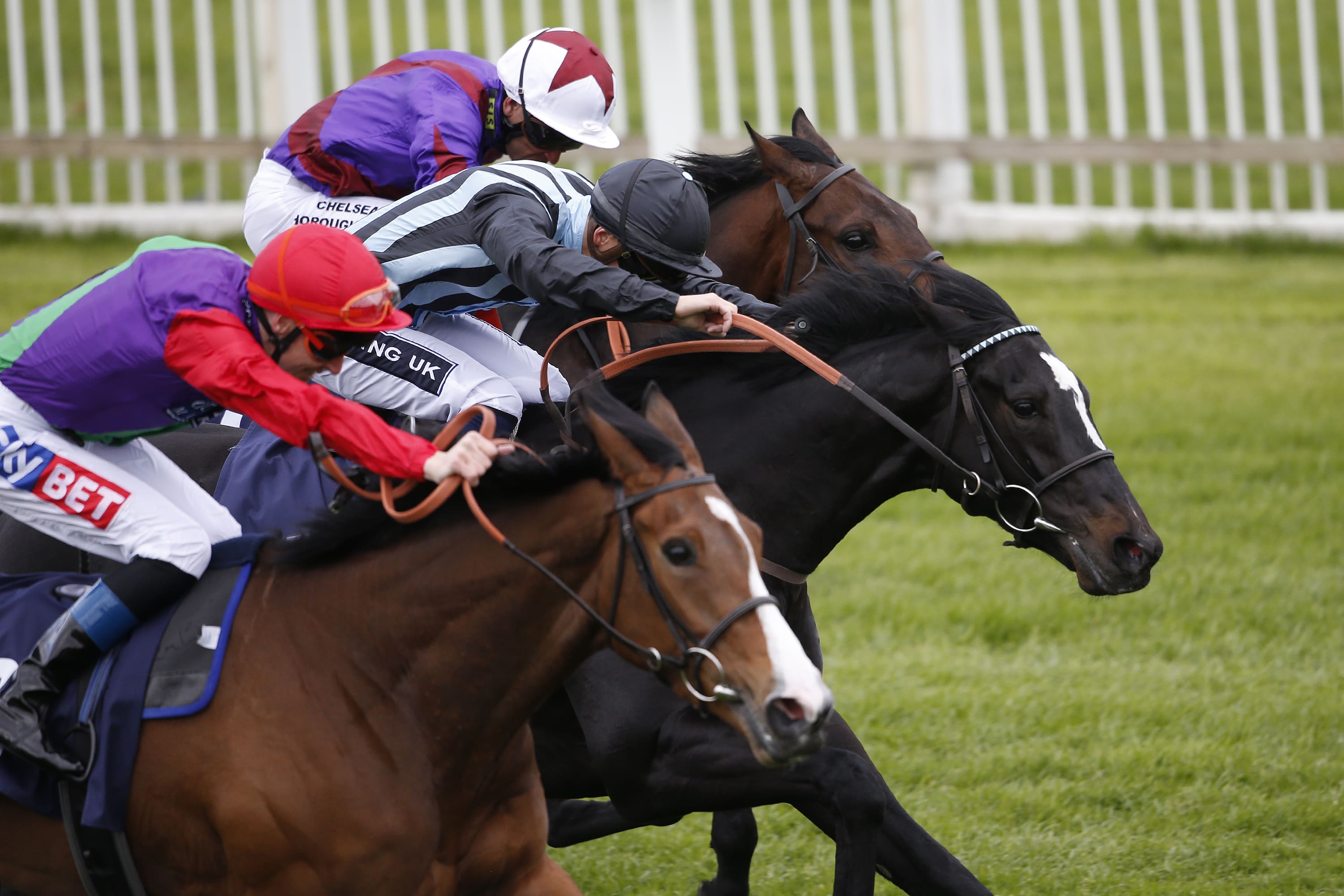 Monday's UK & Irish Horse Racing Tips | GetYourTipsOut