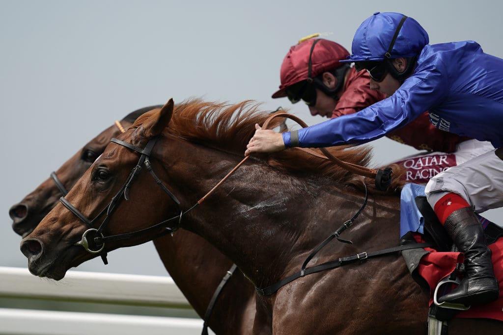 ITV Racing Saturday Tips and Previews | GetYourTipsOut