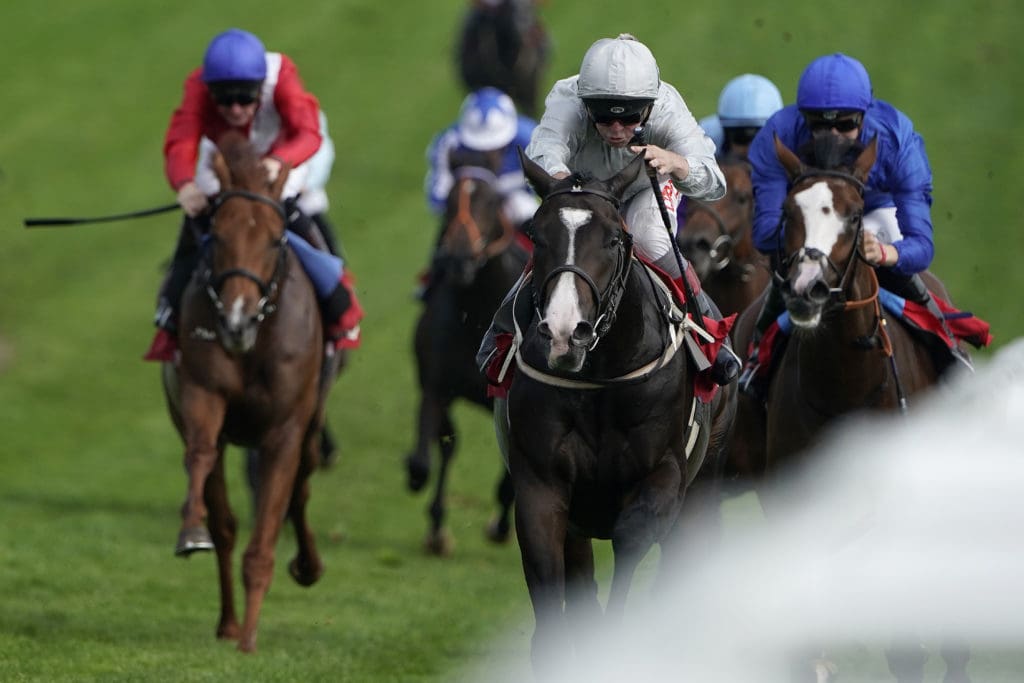 Epsom Derby Day Tips and Previews Saturday | GetYourTipsOut