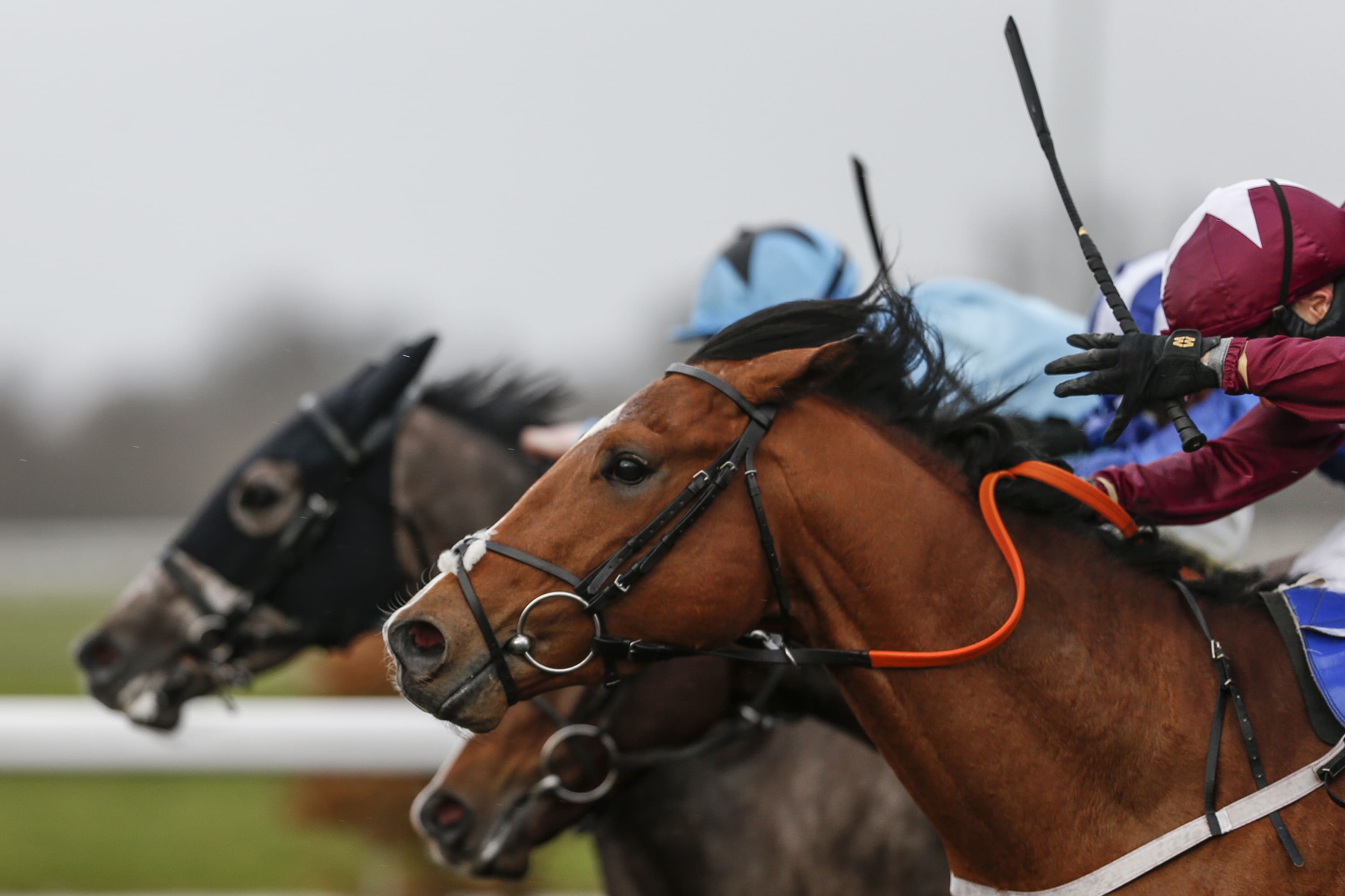 Friday's Best French Horse Racing Bets | GetYourTipsOut