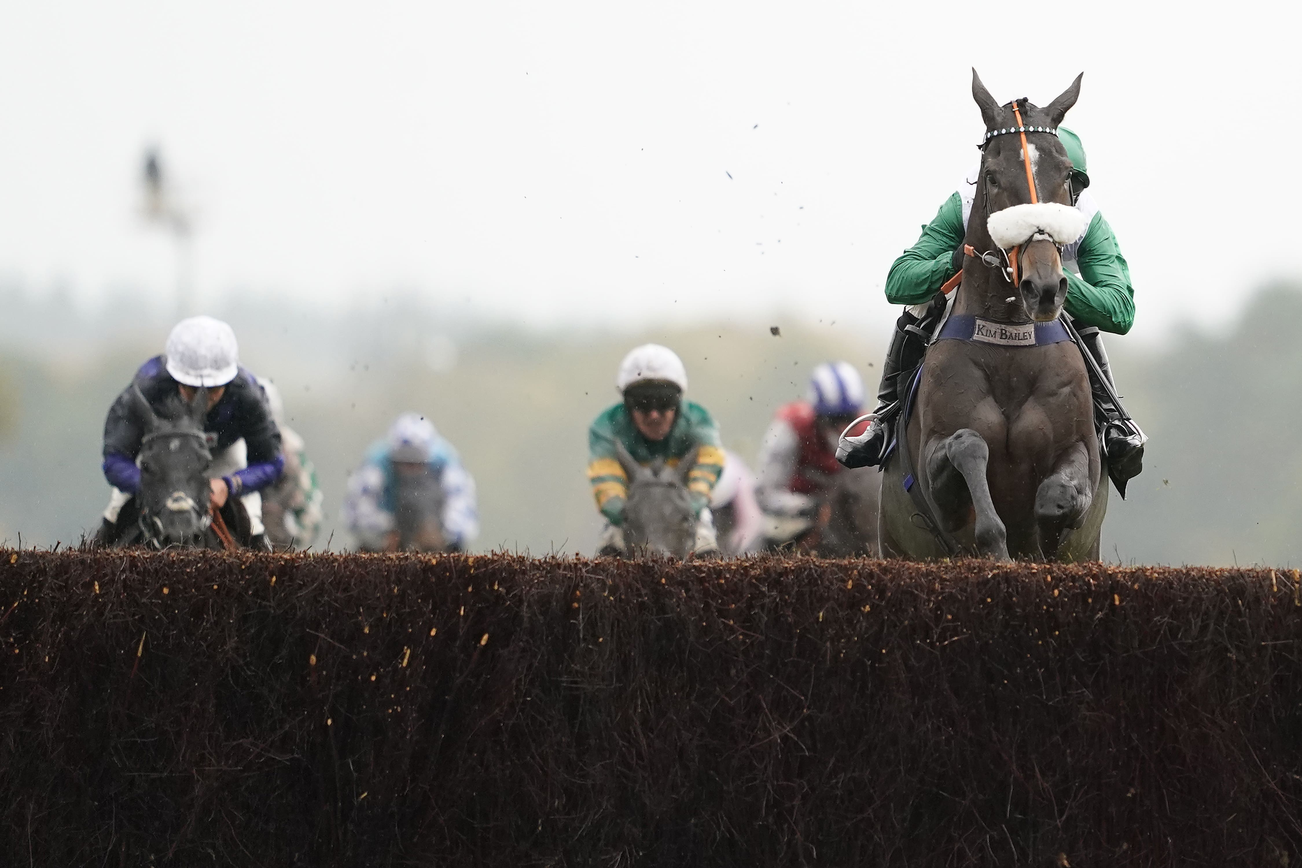 Saturday's UK & Irish Horse Racing Tips | GetYourTipsOut