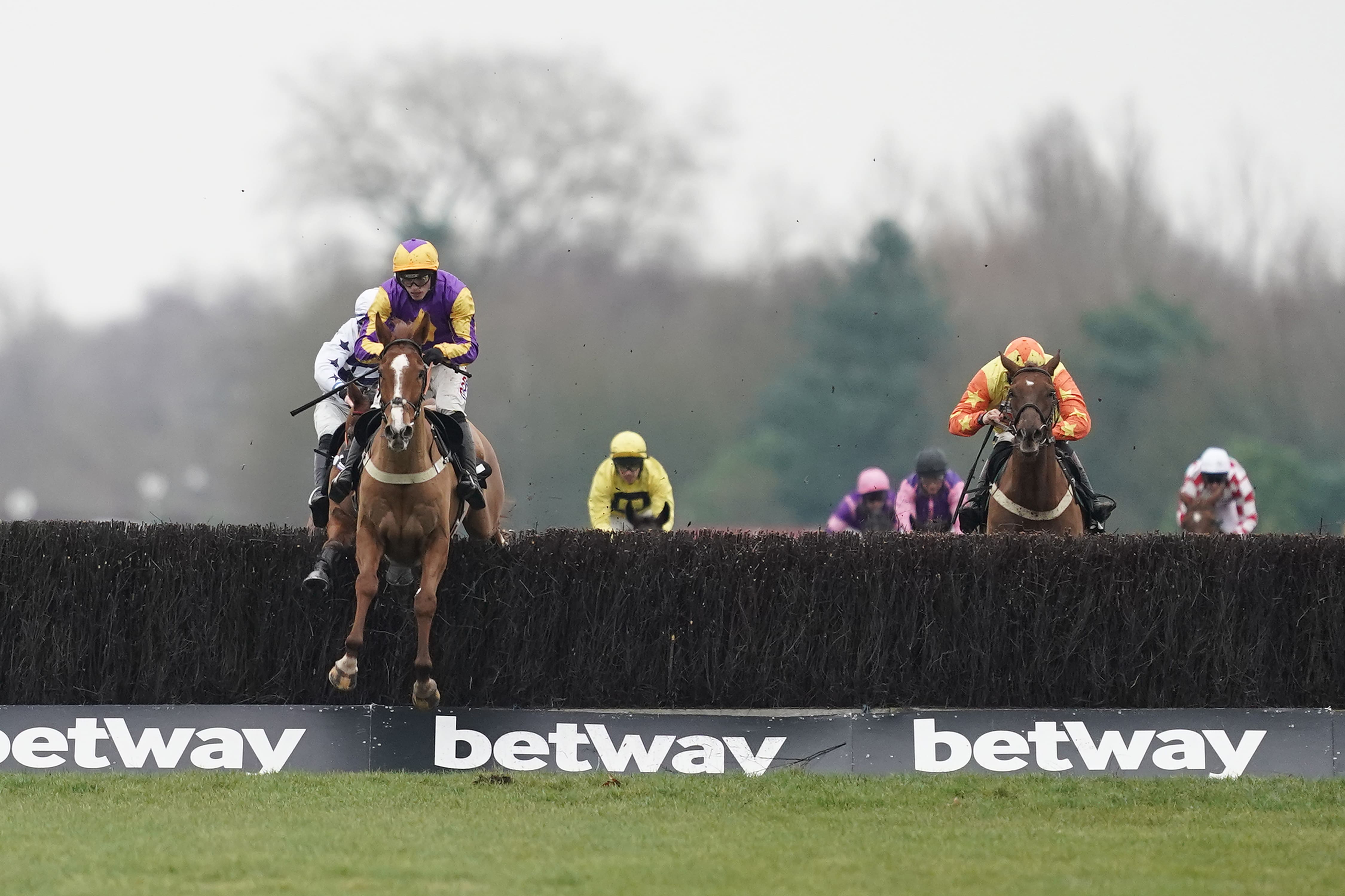 ITV Racing Saturday Tips and Previews | GetYourTipsOut
