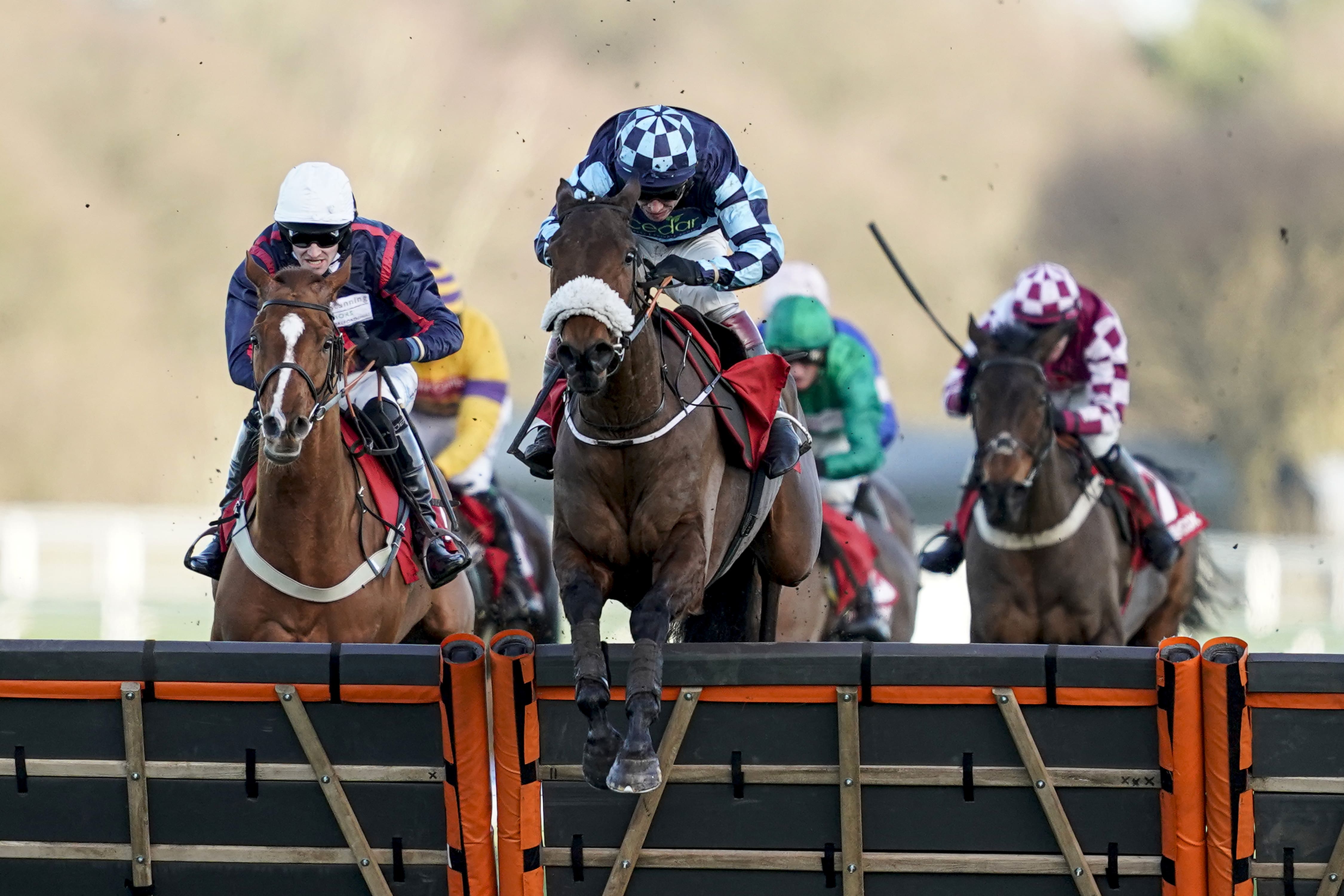 Ffos Las Preview Wednesday | GetYourTipsOut