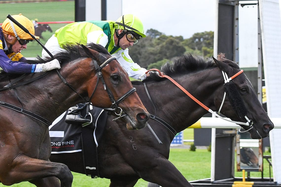 Australian Horse Racing Tips | GetYourTipsOut