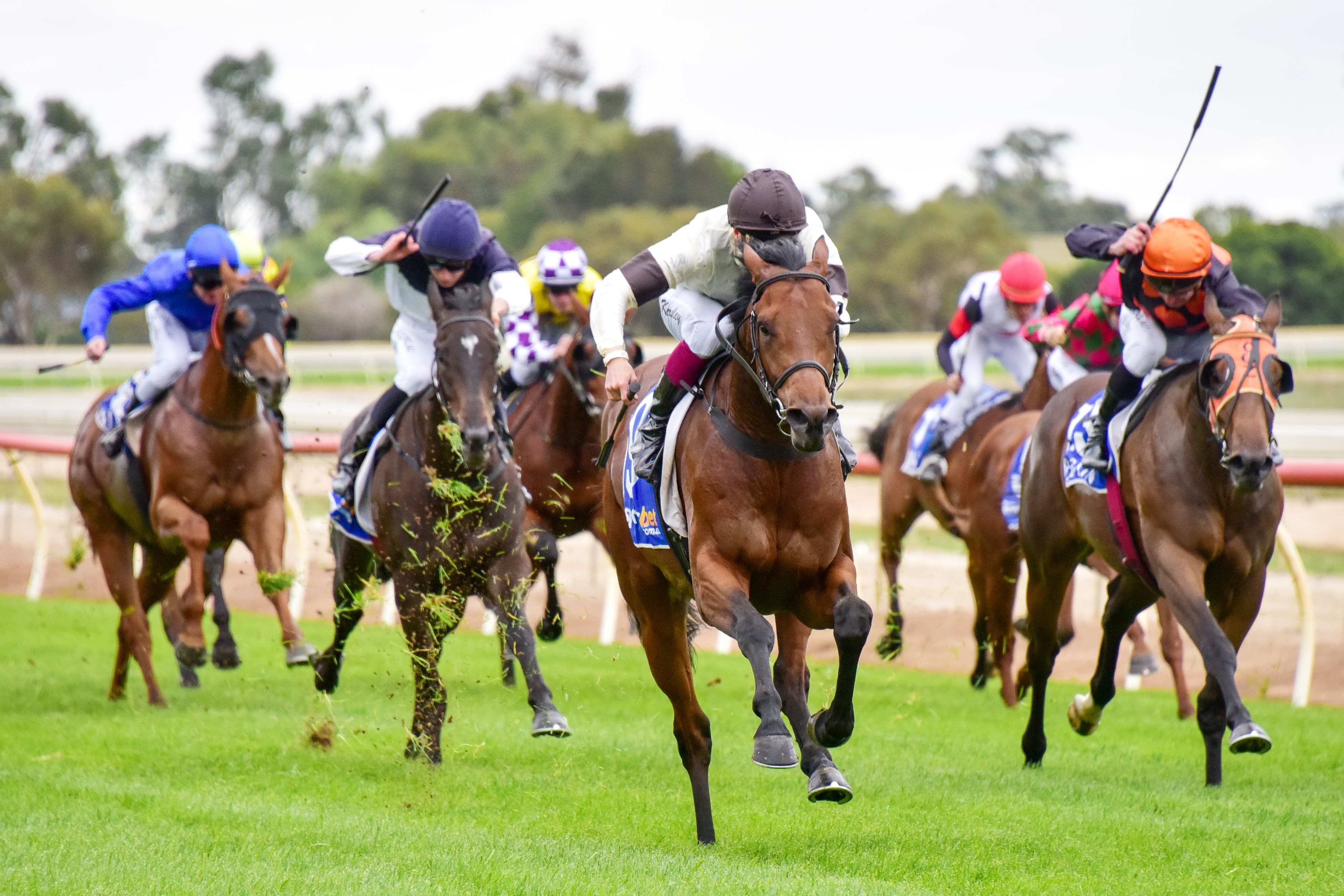 Thursday's Australian Horse Racing Tips | GetYourTipsOut