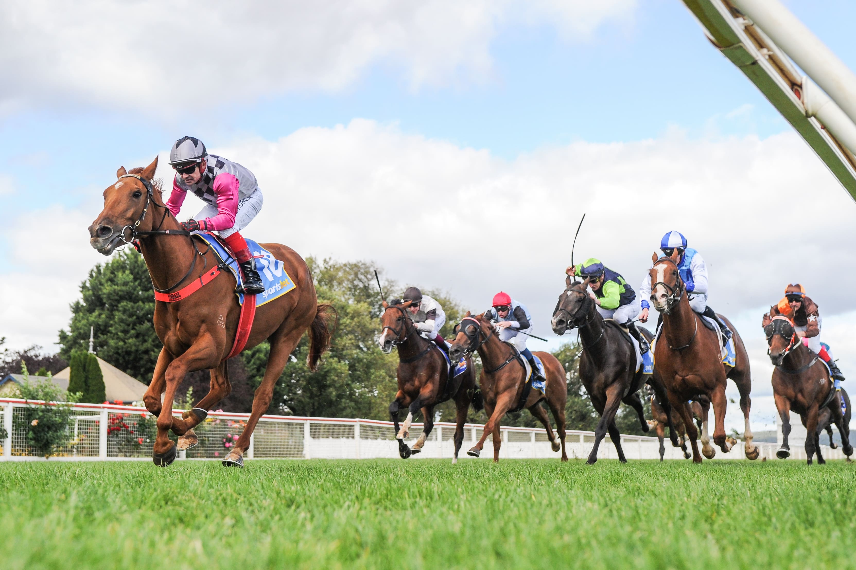 Tuesday's Australian Horse Racing Tips | GetYourTipsOut