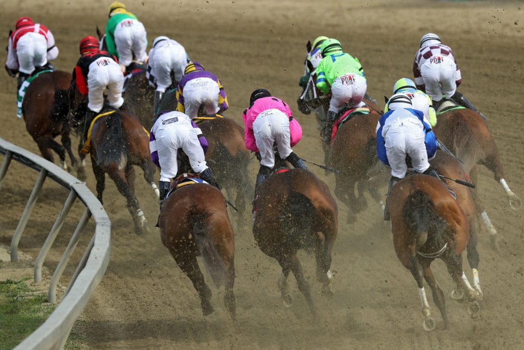 American Horse Racing Tips | GetYourTipsOut