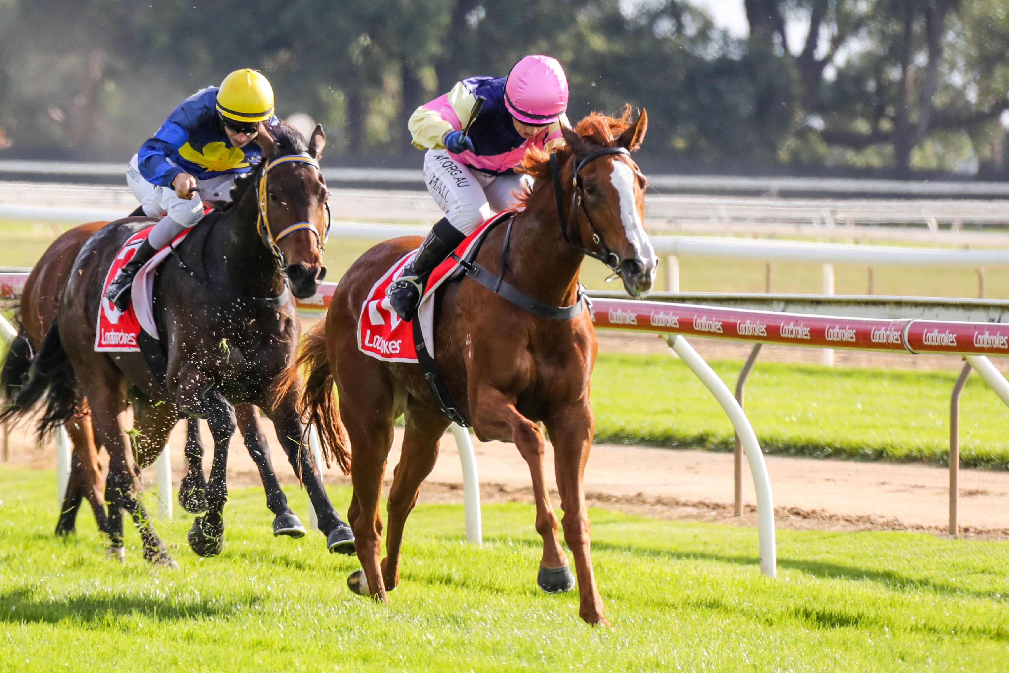 Sunday's Australian Horse Racing Notebook Selections | GetYourTipsOut