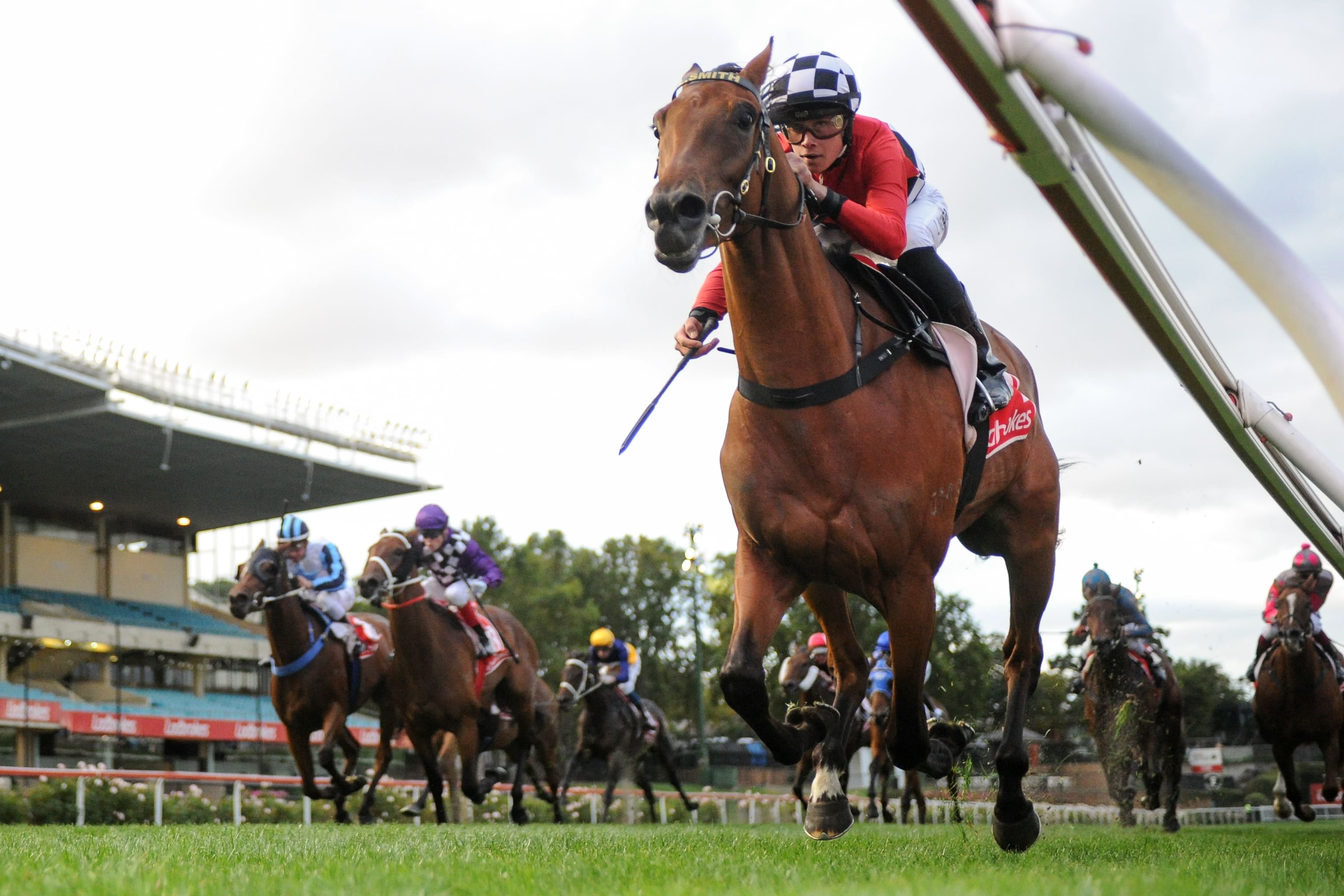 Saturday's Australian Horse Racing Bets | GetYourTipsOut