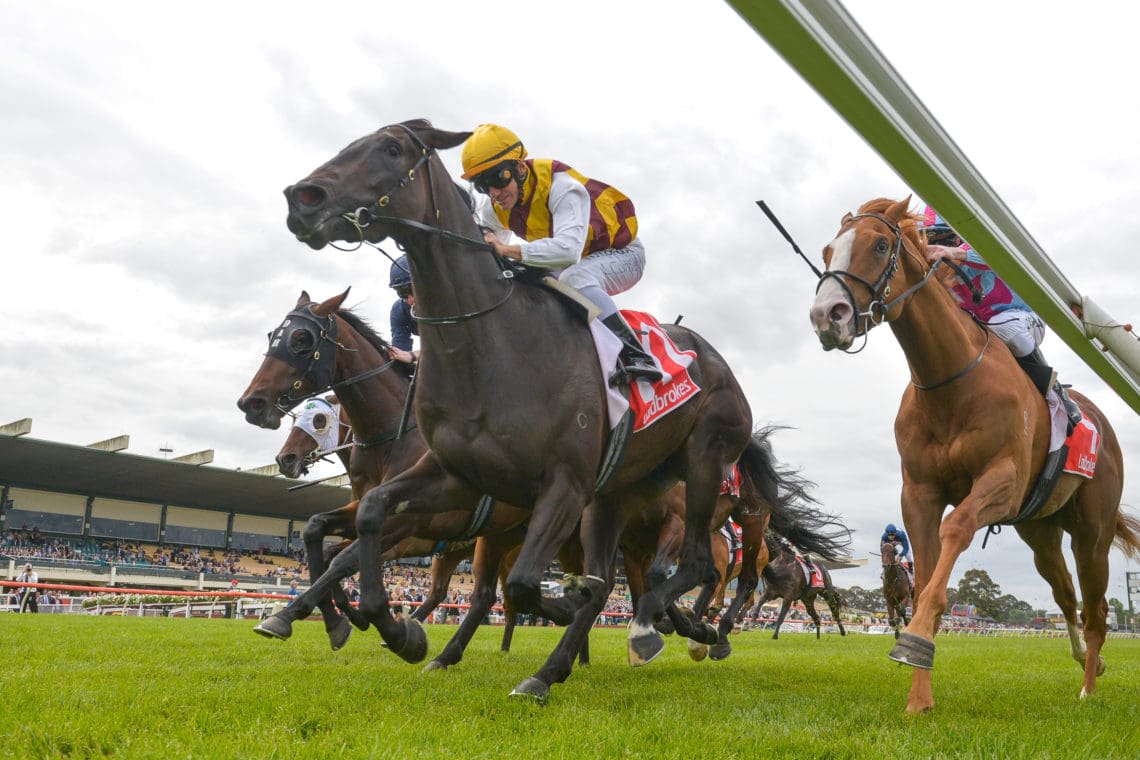 Australian Horse Racing Tips | GetYourTipsOut