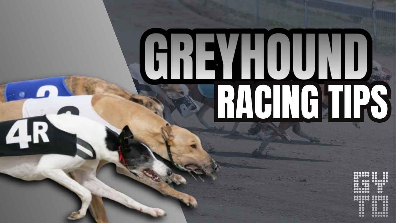 Greyhound Racing Tips | GetYourTipsOut